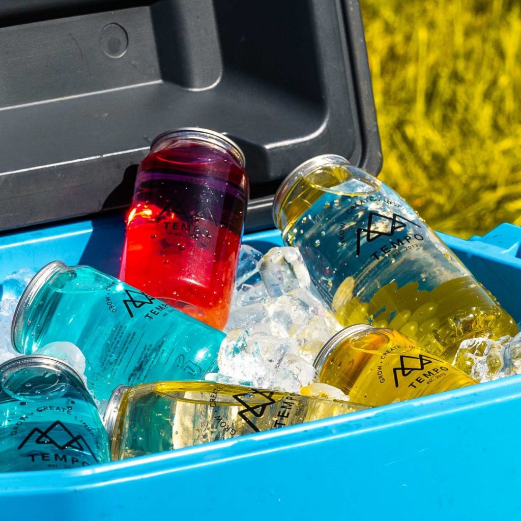 Bubble Tea, Reimagined: Tasting Tempo Tea Bar’s Vitamin-Infused Cans ...